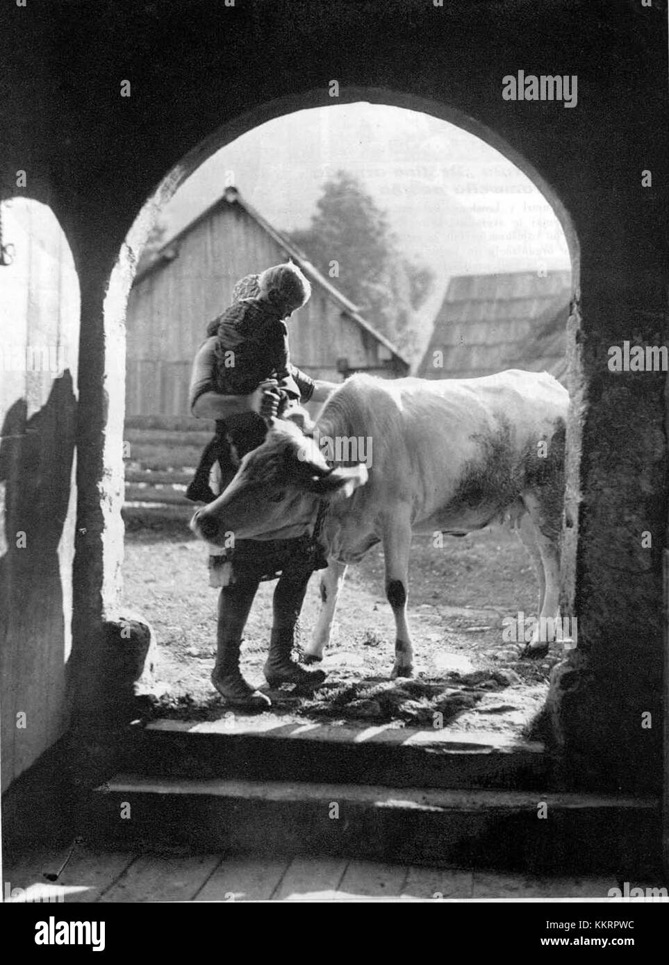 Scenic view lake during Black and White Stock Photos & Images - Alamy