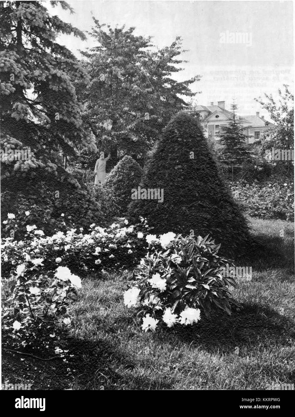 Scenic scene aesthetic Black and White Stock Photos & Images - Alamy