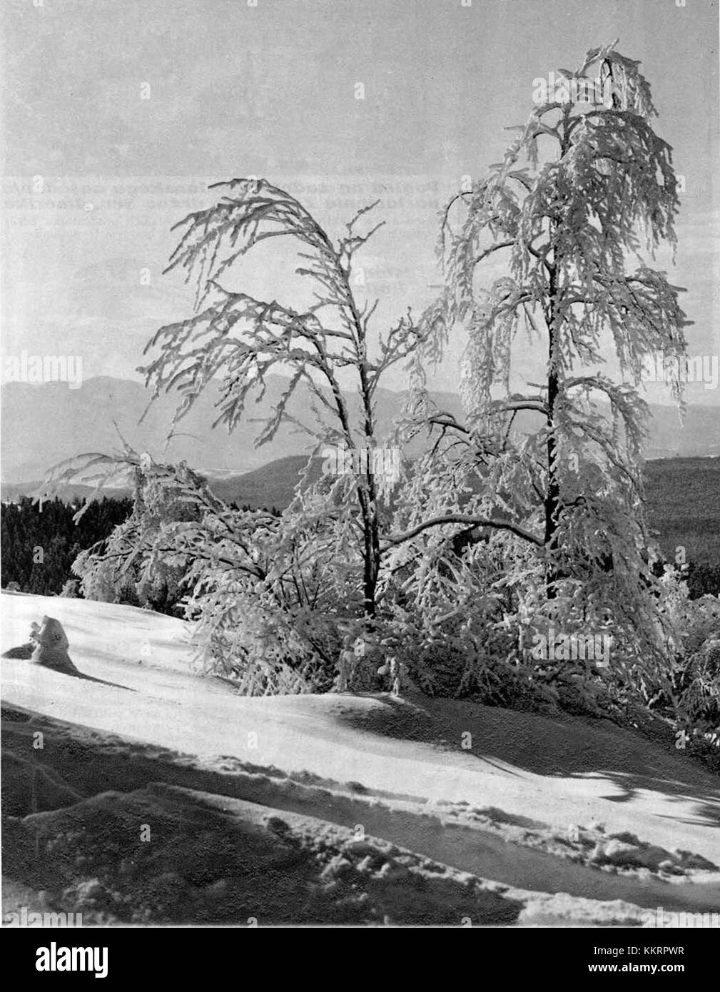 1920s landscape painting Black and White Stock Photos & Images - Alamy