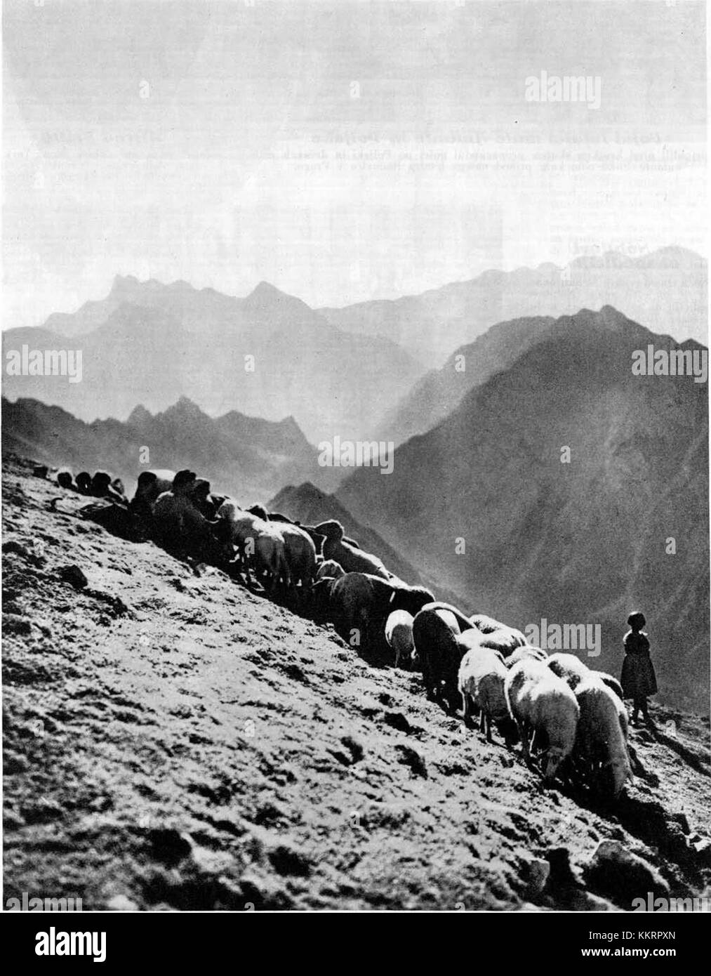 Early morning mood on Black and White Stock Photos & Images - Alamy