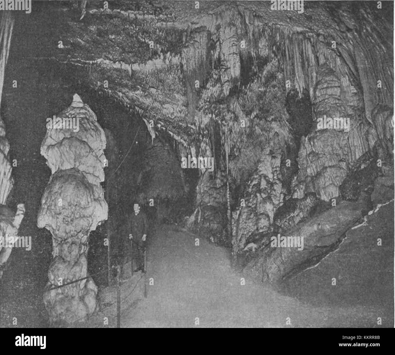 Svetovnoznana Postojnska Jama, also known as Postojna Cave, located in ...