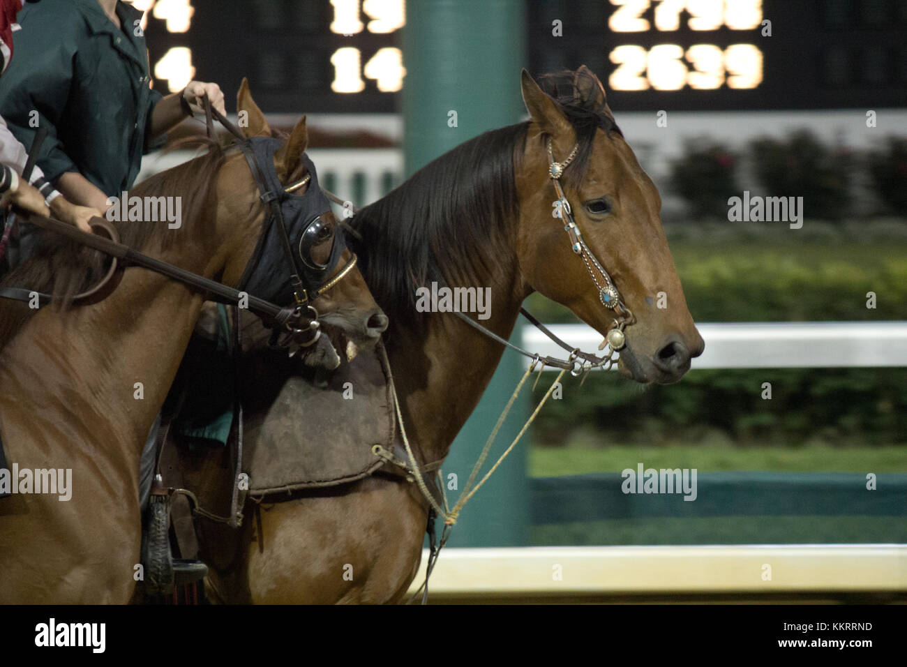 Churchill downs hi-res stock photography and images - Alamy