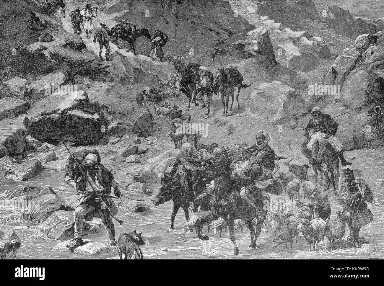 Documented account Black and White Stock Photos & Images - Alamy
