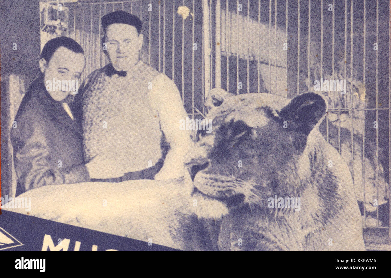 Fridolf i lejonkulan is a Swedish film from the 1950s, portraying the ...