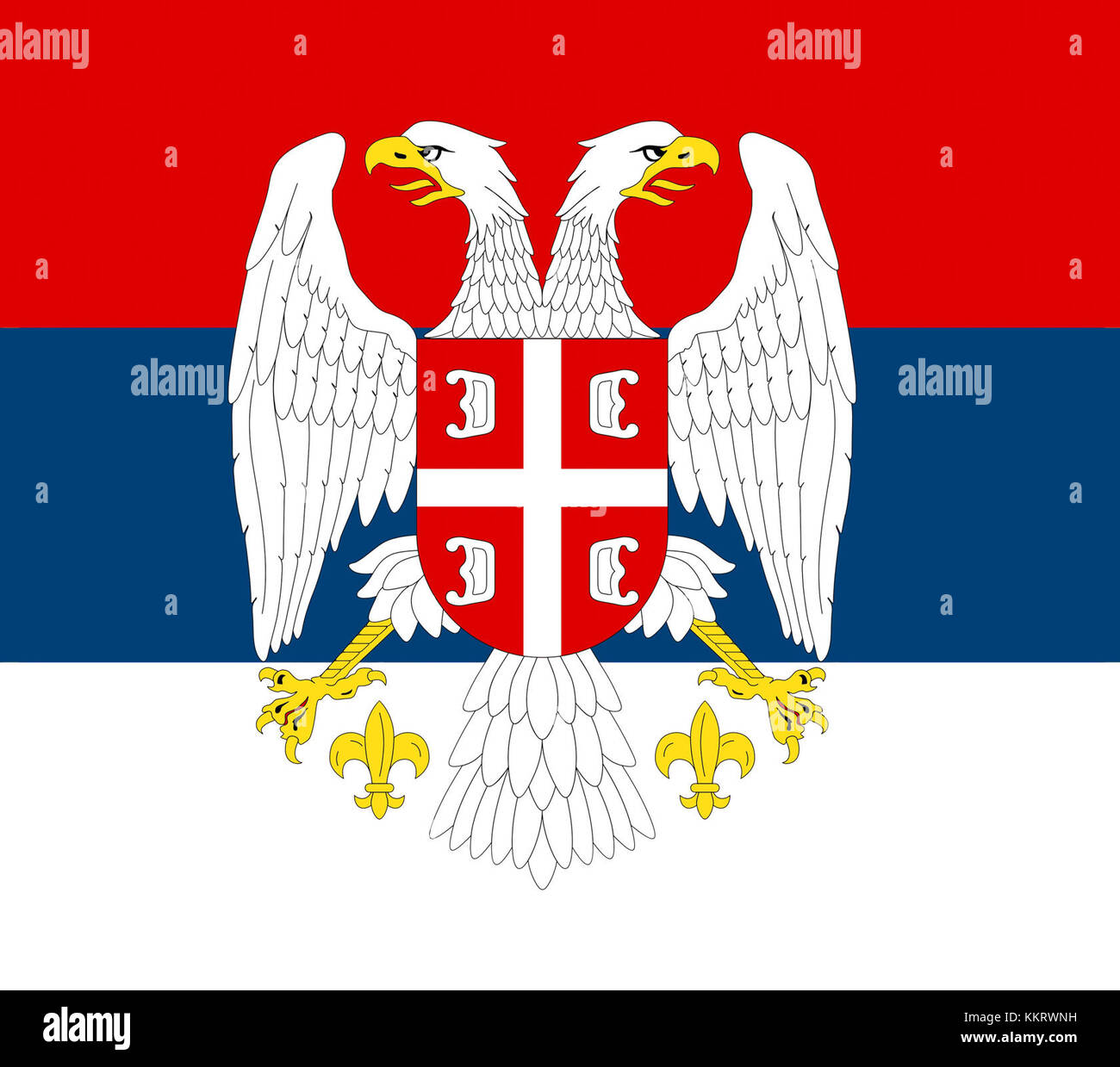The standard of the Serbian Armed Forces is a military flag ...