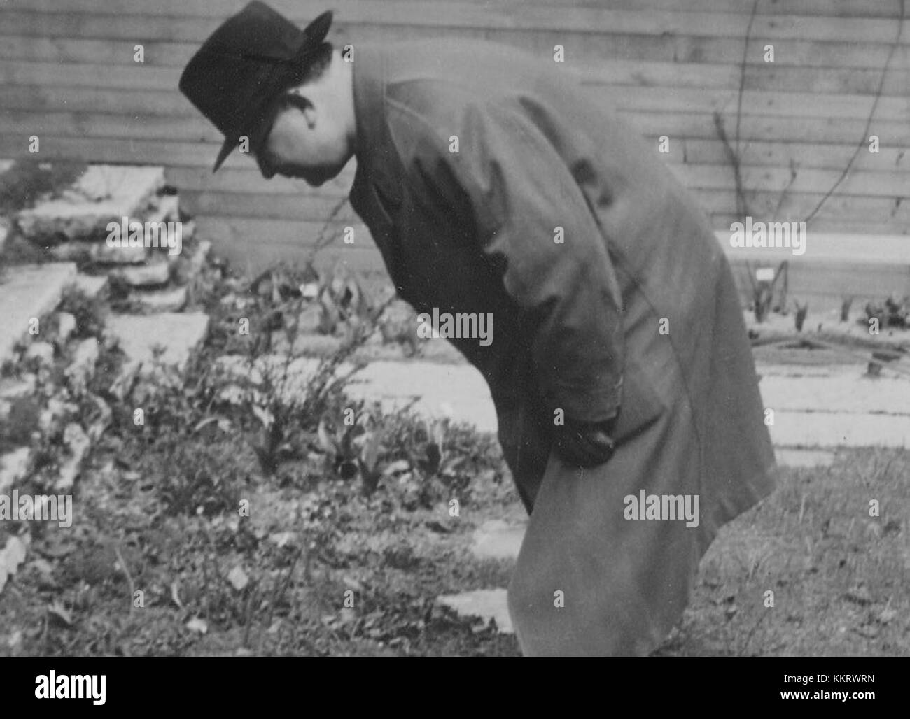 Albin Starck 1939a Stock Photo - Alamy