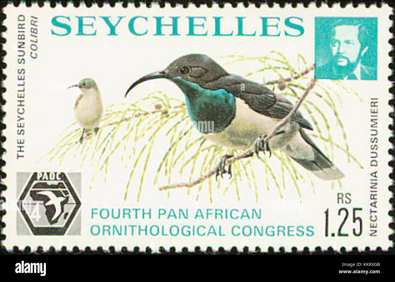 This 1976 stamp from Seychelles features Cinnyris dussumieri, also ...