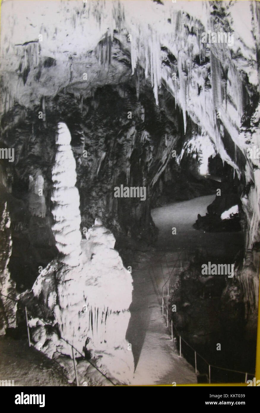A vintage postcard from 1959 depicting Postojna Cave, located in ...