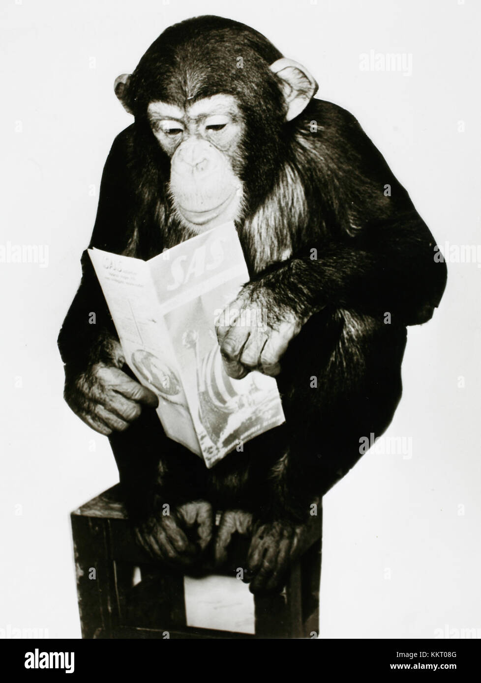 Sas cargo hi-res stock photography and images - Alamy