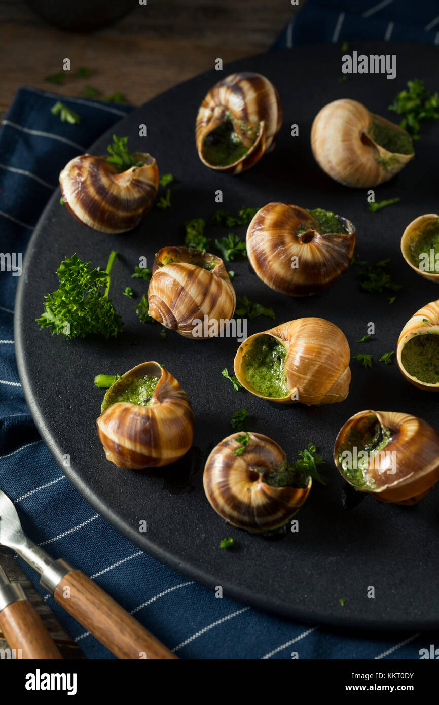 Fancy French Hot Escargot Appetizer with Butter and Garlic Stock Photo ...