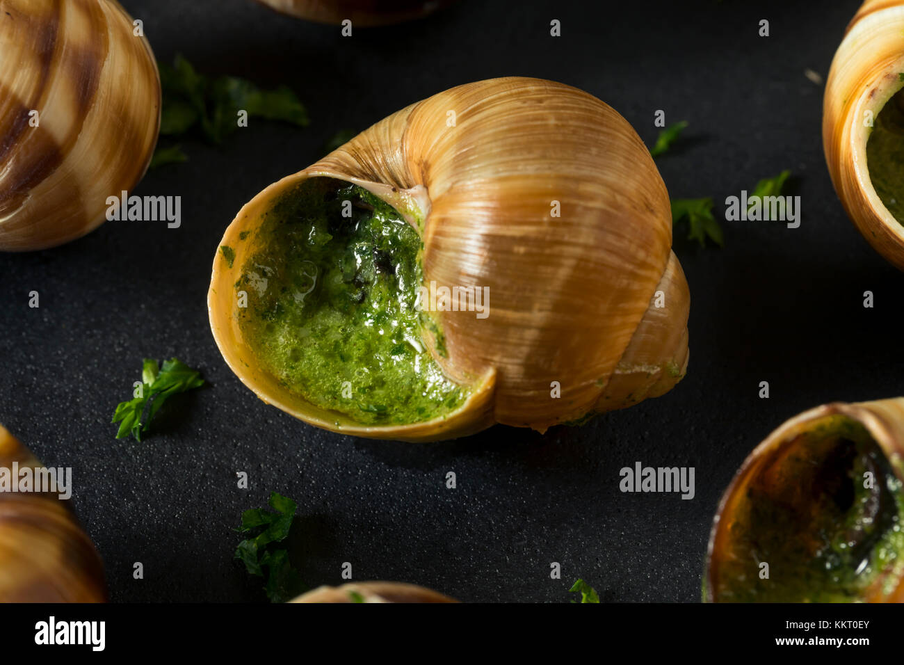 Fancy French Hot Escargot Appetizer with Butter and Garlic Stock Photo ...