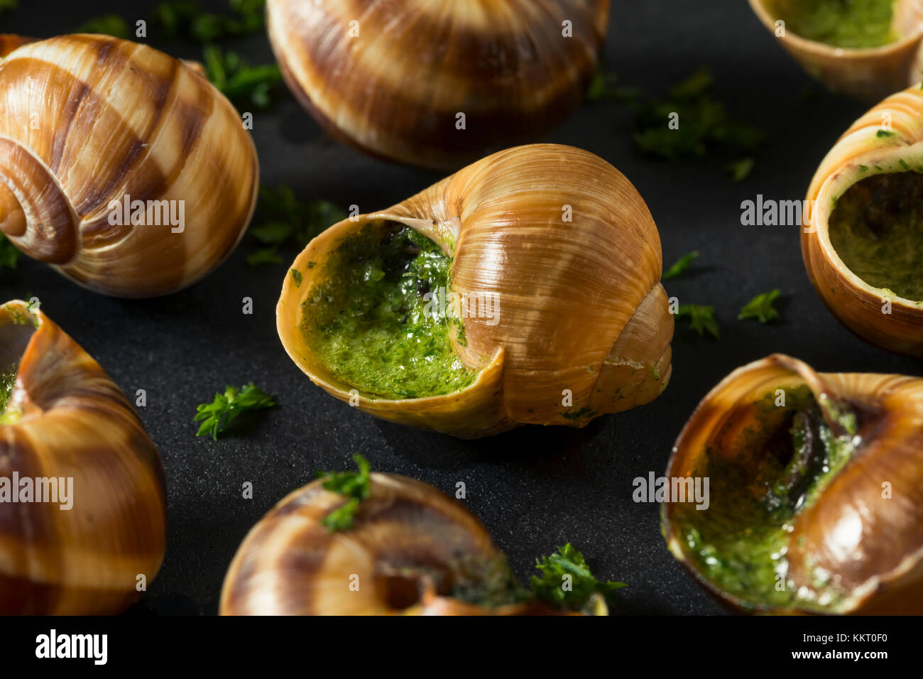 French escargot hi-res stock photography and images - Alamy