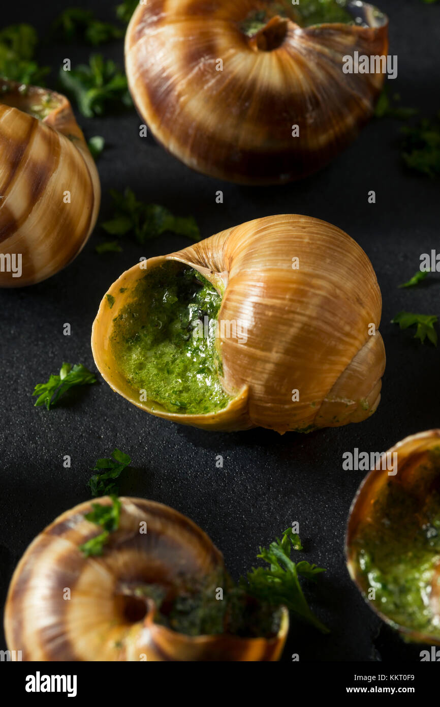 Fancy French Hot Escargot Appetizer with Butter and Garlic Stock Photo ...