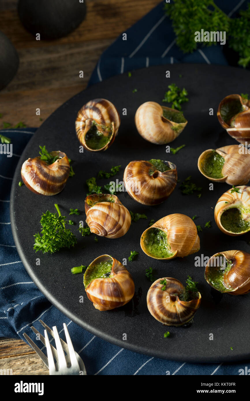 Fancy French Hot Escargot Appetizer with Butter and Garlic Stock Photo ...