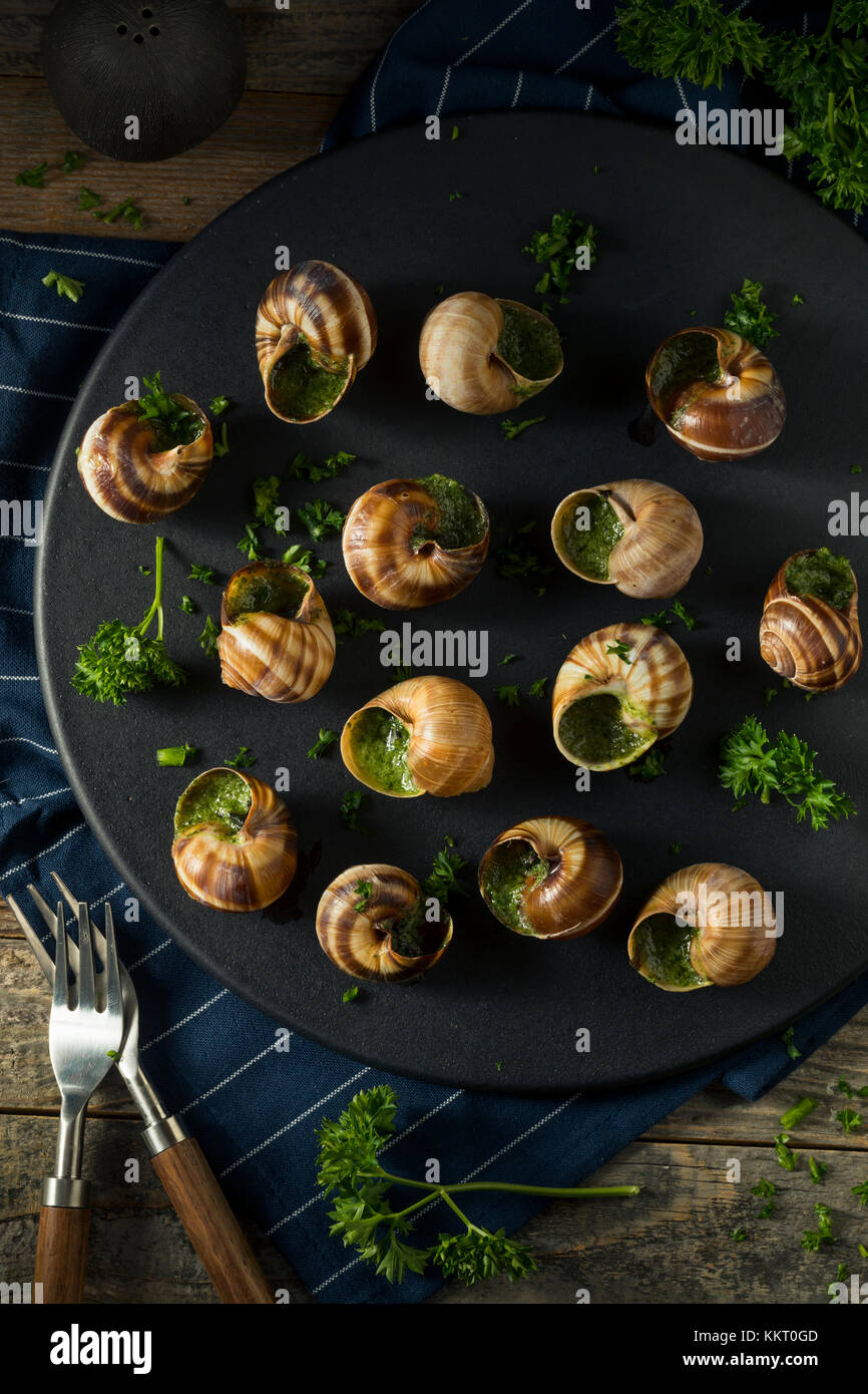 Fancy French Hot Escargot Appetizer with Butter and Garlic Stock Photo ...