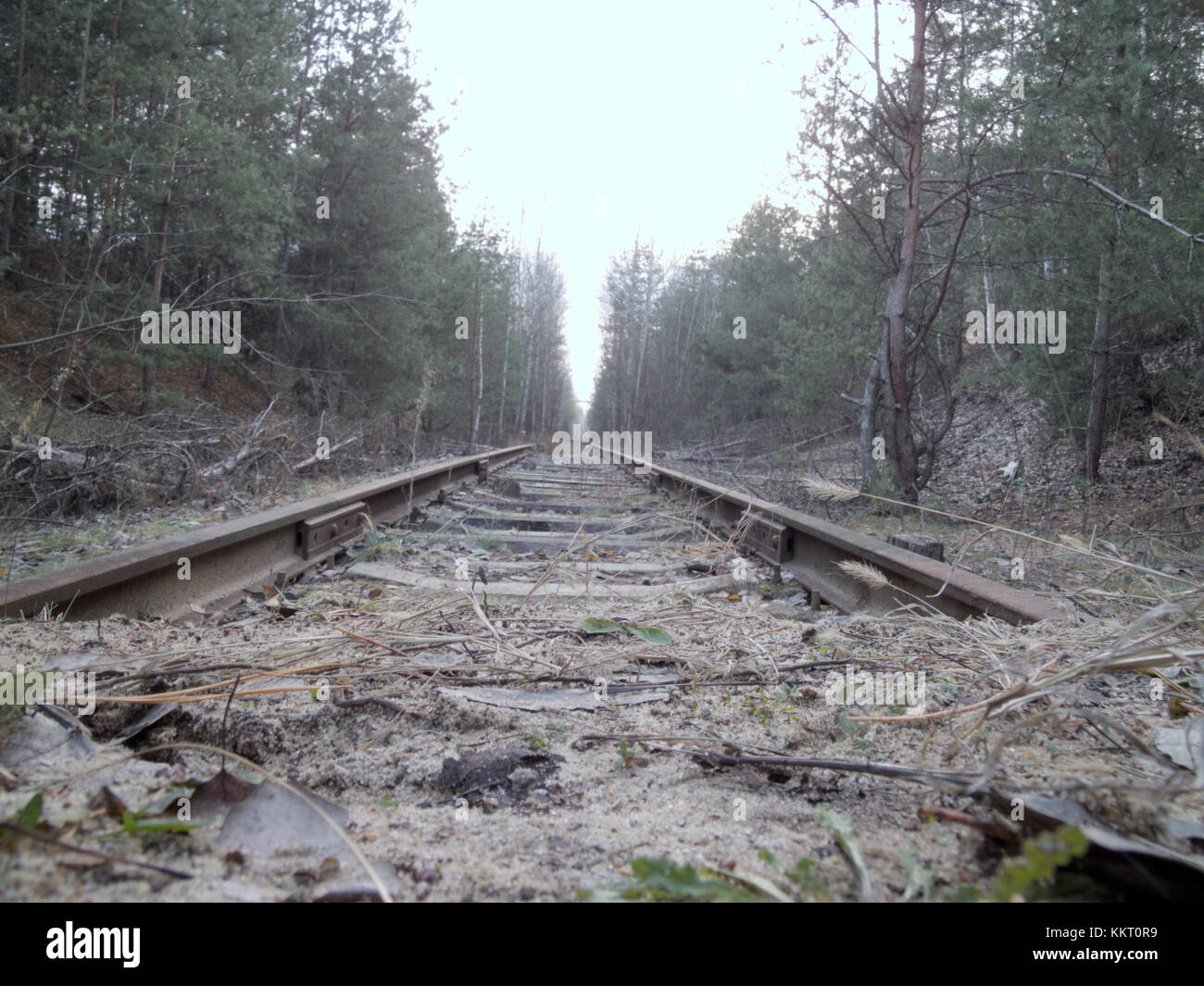 start of railroad, traversing trough woods Stock Photo - Alamy