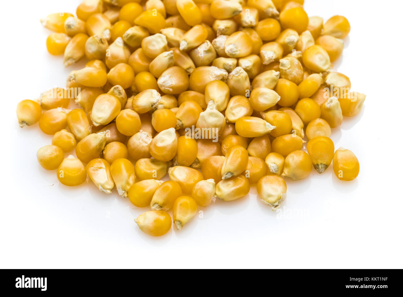 Popcorn Seeds, Studio Close Up Shot, on White Background Stock Photo ...