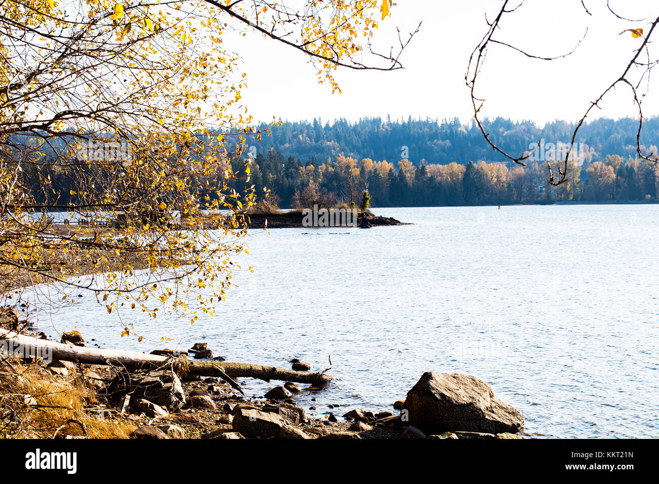 Shoreline during Autumn Stock Photo - Alamy
