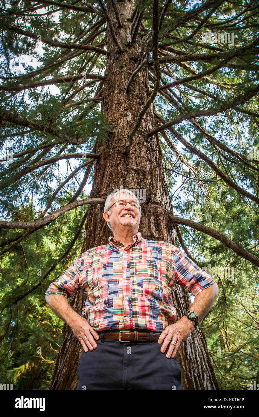 A mature man standing below a large tree looking away. Portrait Stock ...