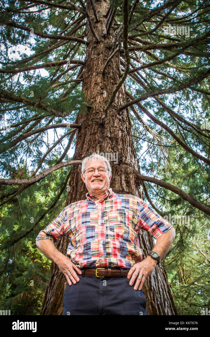 Man standing sequoia tree hi-res stock photography and images - Alamy