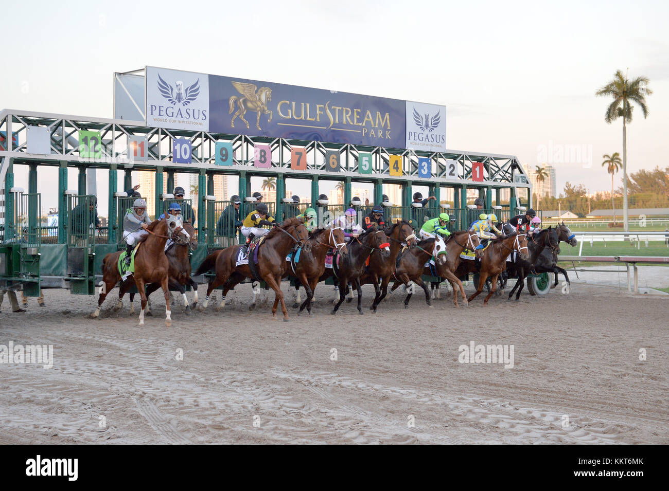 HALLANDALE, FL - JANUARY 28: Jockey Mike Smith celebrates atop Arrogate ...