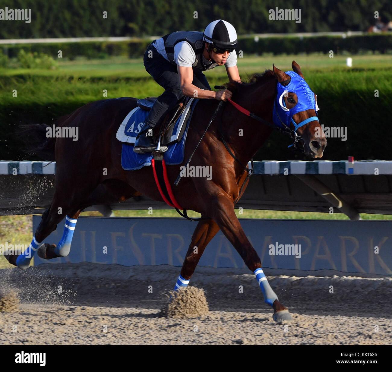 HALLANDALE, FL - APRIL 15: (EXCLUSIVE COVERAGE) Trainer Antonio Sano ...