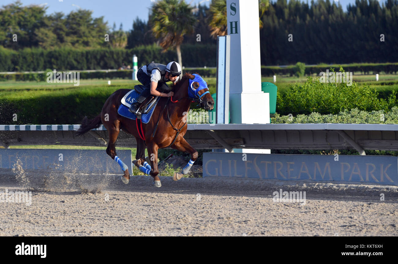 HALLANDALE, FL - APRIL 15: (EXCLUSIVE COVERAGE) Trainer Antonio Sano ...