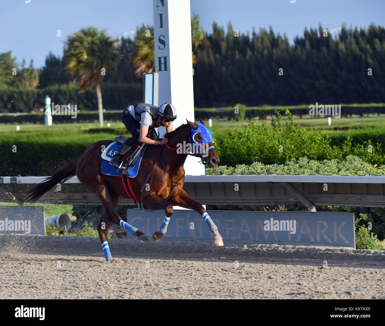 HALLANDALE, FL - APRIL 15: (EXCLUSIVE COVERAGE) Trainer Antonio Sano ...