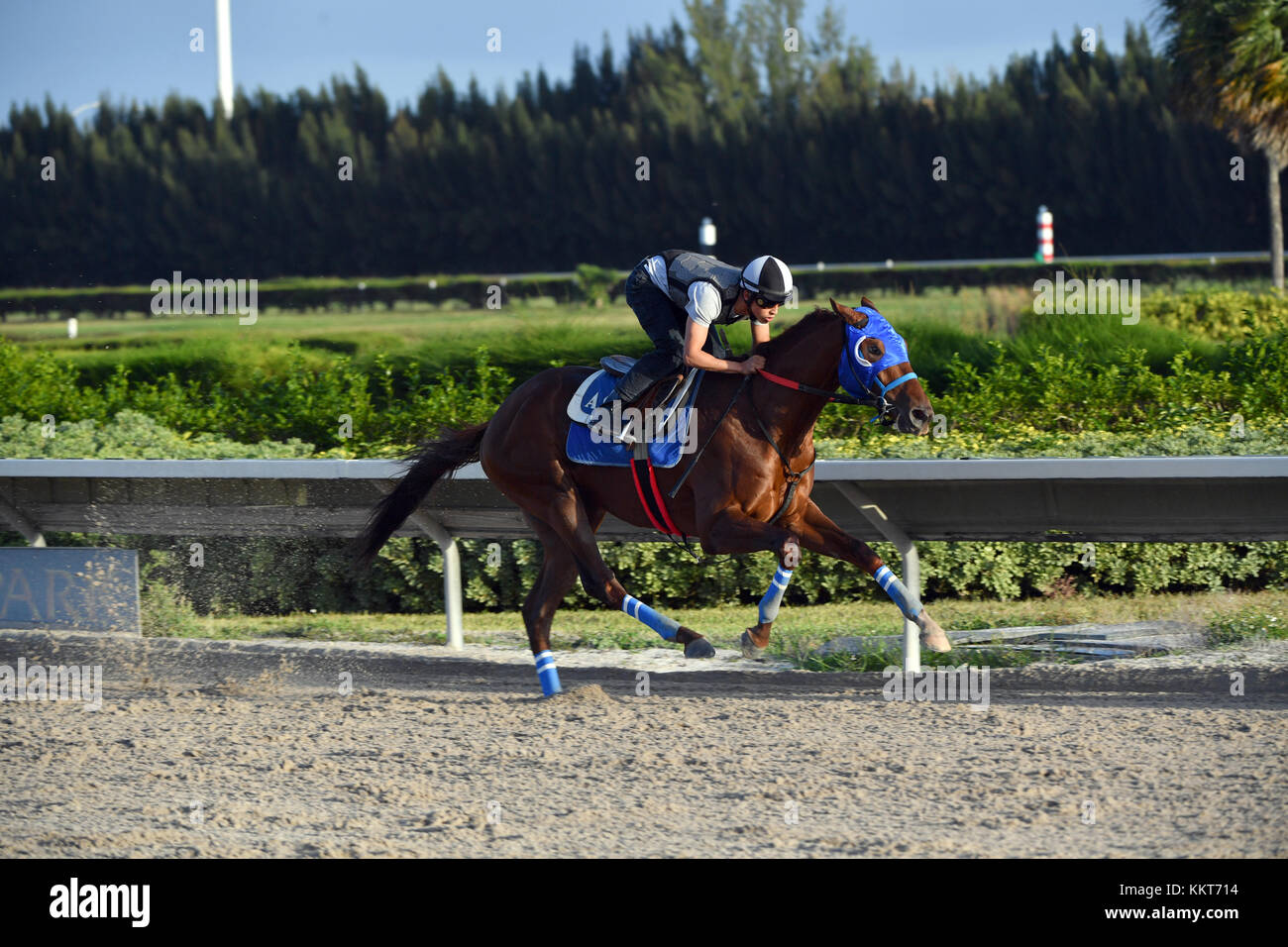 HALLANDALE, FL - APRIL 15: (EXCLUSIVE COVERAGE) Trainer Antonio Sano ...