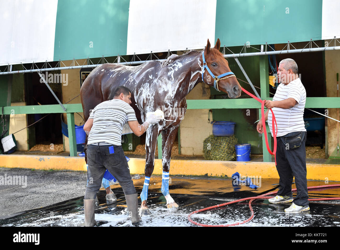 HALLANDALE, FL - APRIL 15: (EXCLUSIVE COVERAGE) Trainer Antonio Sano ...
