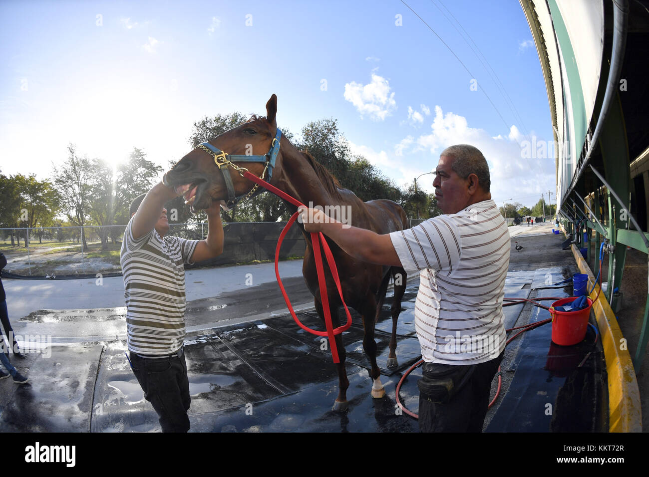 HALLANDALE, FL - APRIL 15: (EXCLUSIVE COVERAGE) Trainer Antonio Sano ...