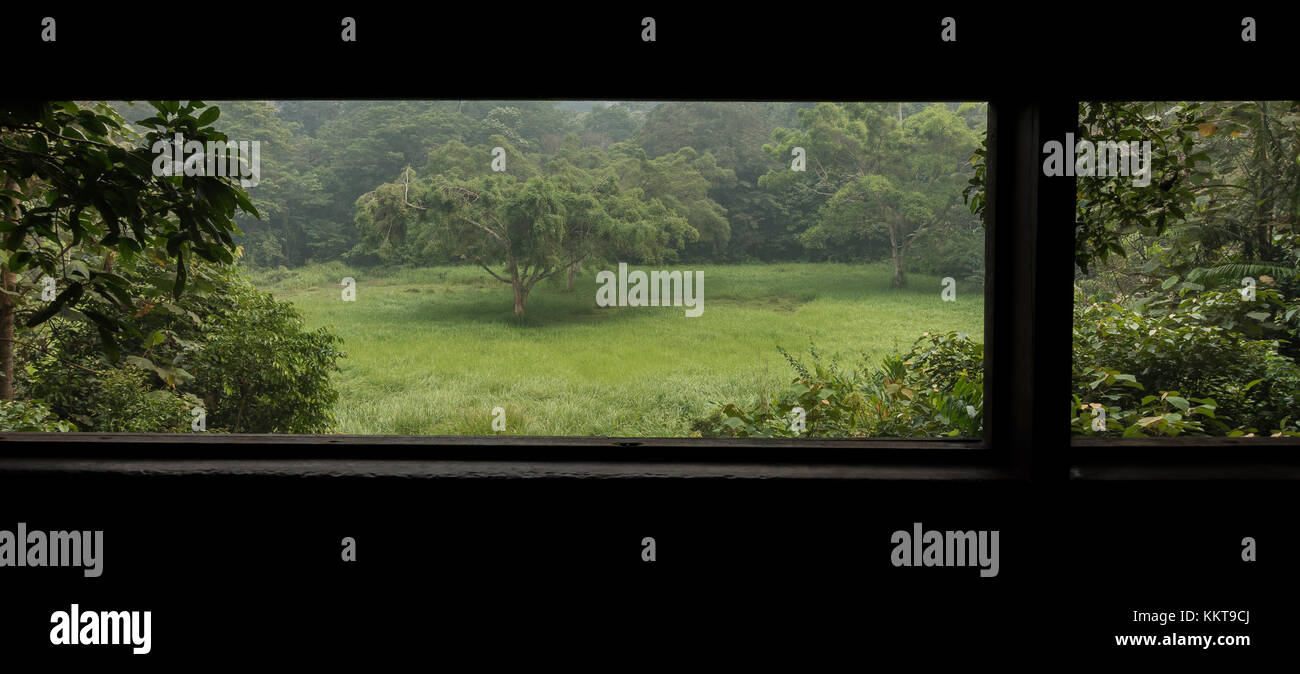 Wildlife observation hut in Taman Negara National Park, an ancient ...