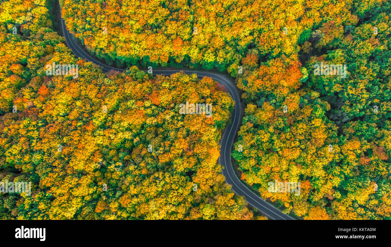 Road with curves in thick forest outside the city Stock Photo - Alamy