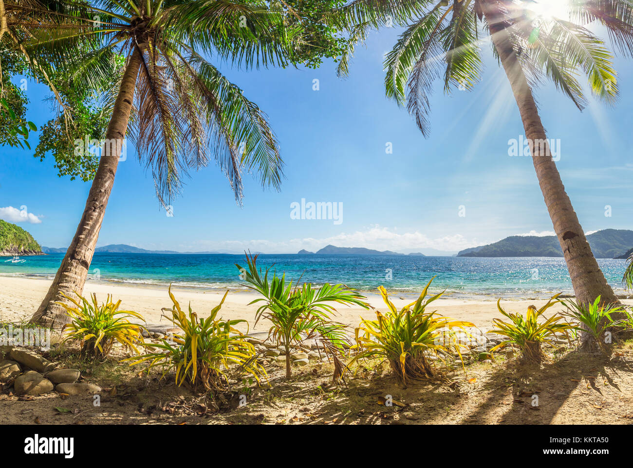 Exotic beach with palm trees and amazing water in strong midday sun ...
