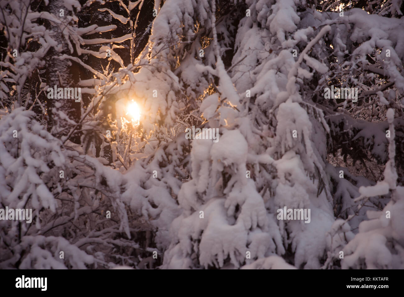 Winter Nature Landscape with Loads of Snow Season Stock Photo - Alamy