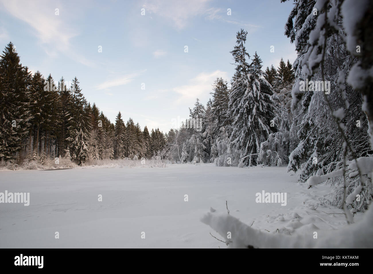 Winter Nature Landscape with Loads of Snow Season Stock Photo - Alamy