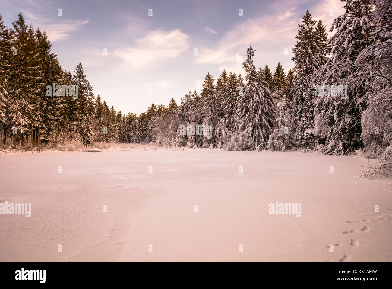 Winter Nature Landscape with Loads of Snow Season Stock Photo - Alamy