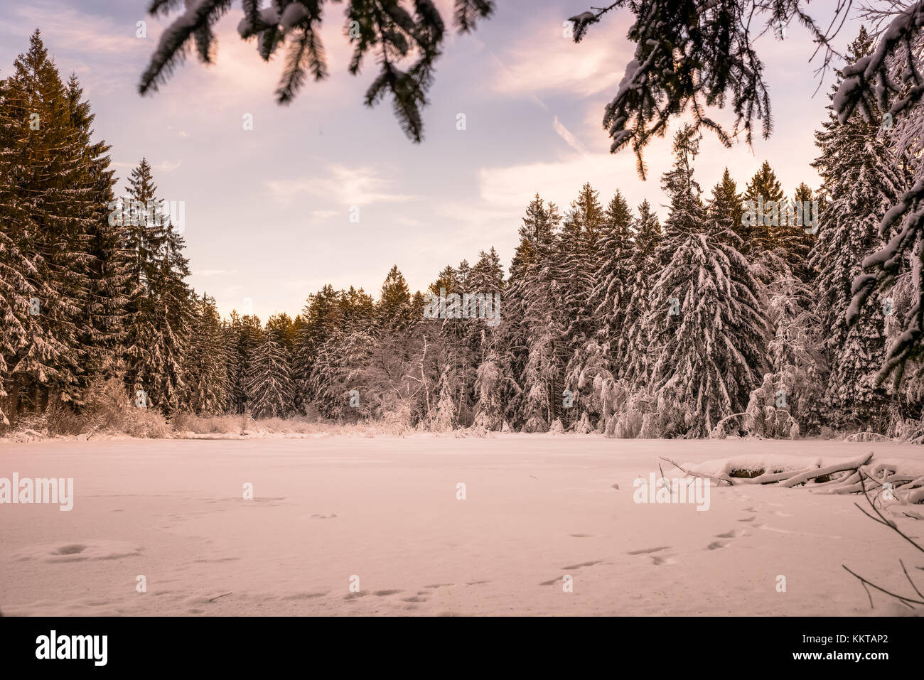 Winter Nature Landscape with Loads of Snow Season Stock Photo - Alamy