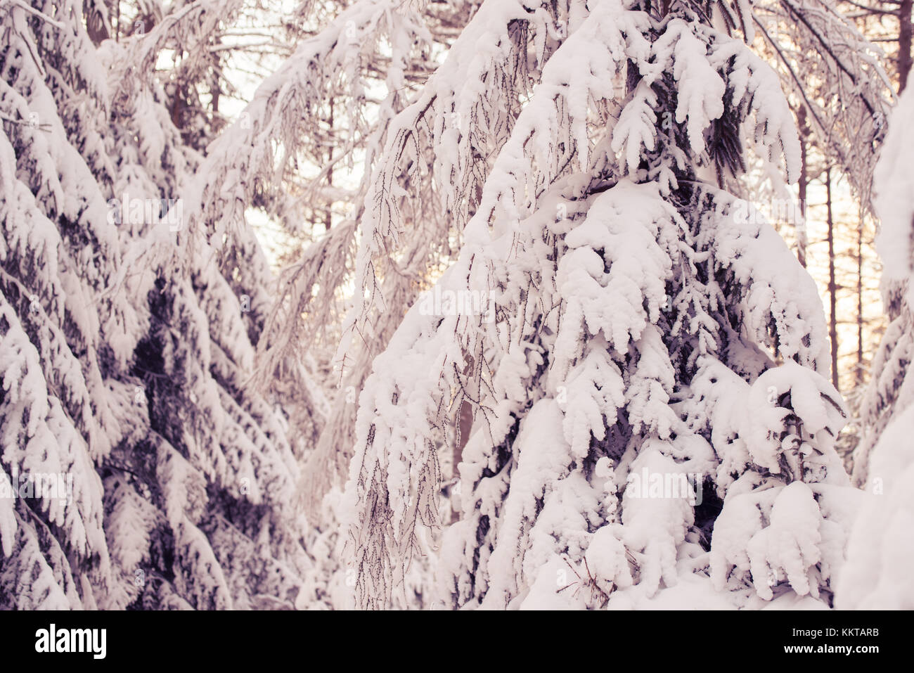 Winter Nature Landscape with Loads of Snow Season Stock Photo - Alamy