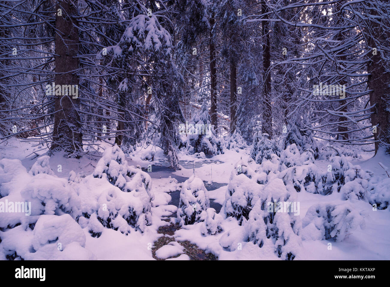 Winter Nature Landscape with Loads of Snow Season Stock Photo - Alamy
