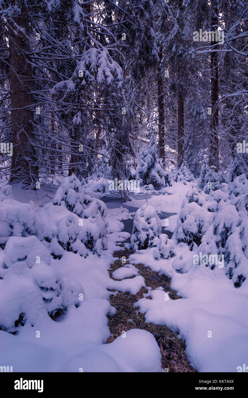 Winter Nature Landscape with Loads of Snow Season Stock Photo - Alamy