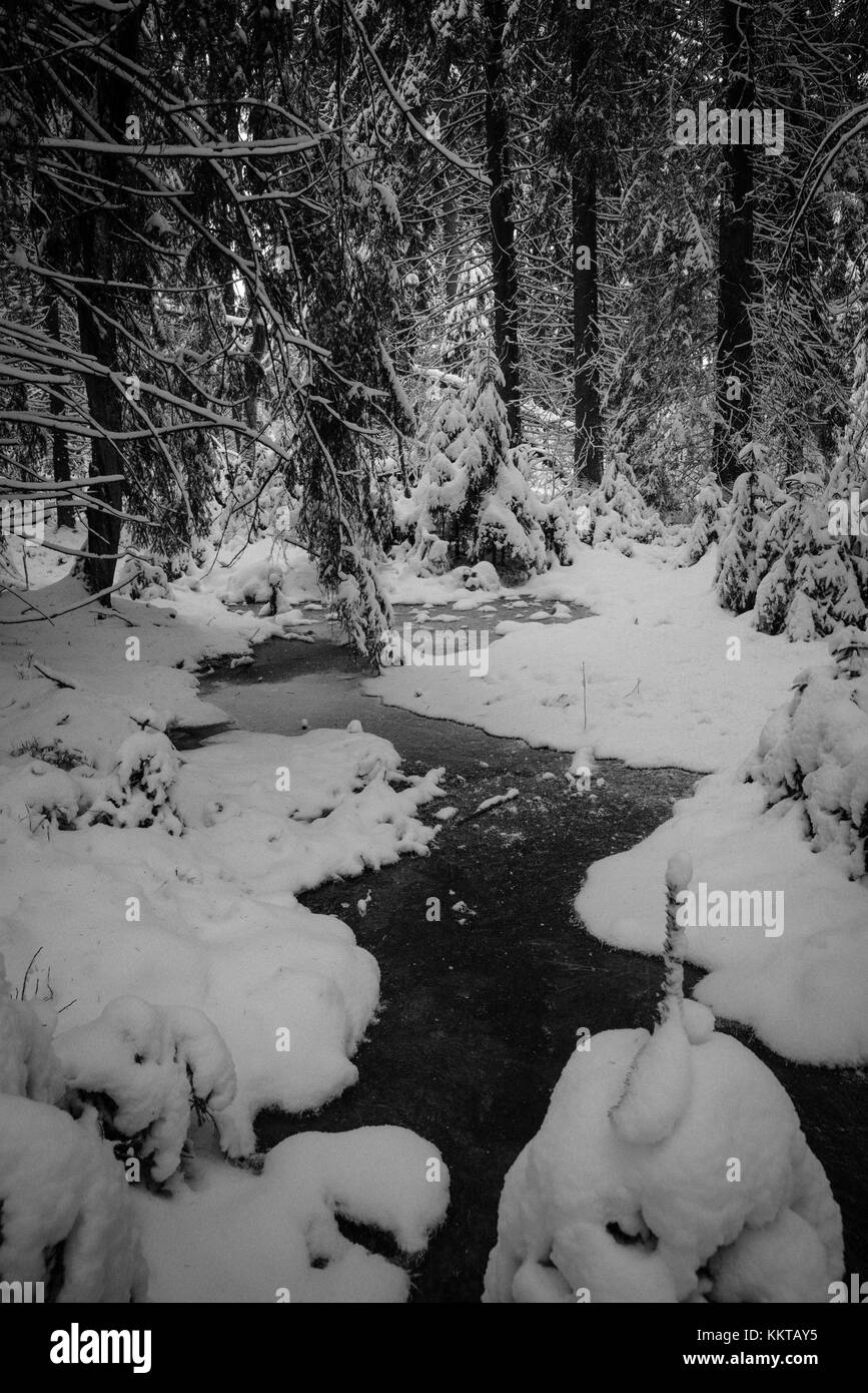 Winter Nature Landscape with Loads of Snow Season Stock Photo - Alamy