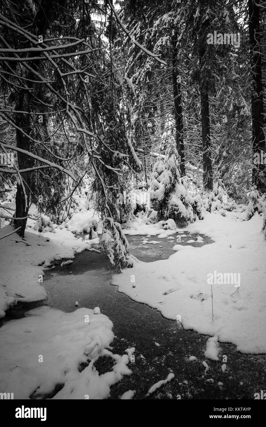 Winter Nature Landscape with Loads of Snow Season Stock Photo - Alamy