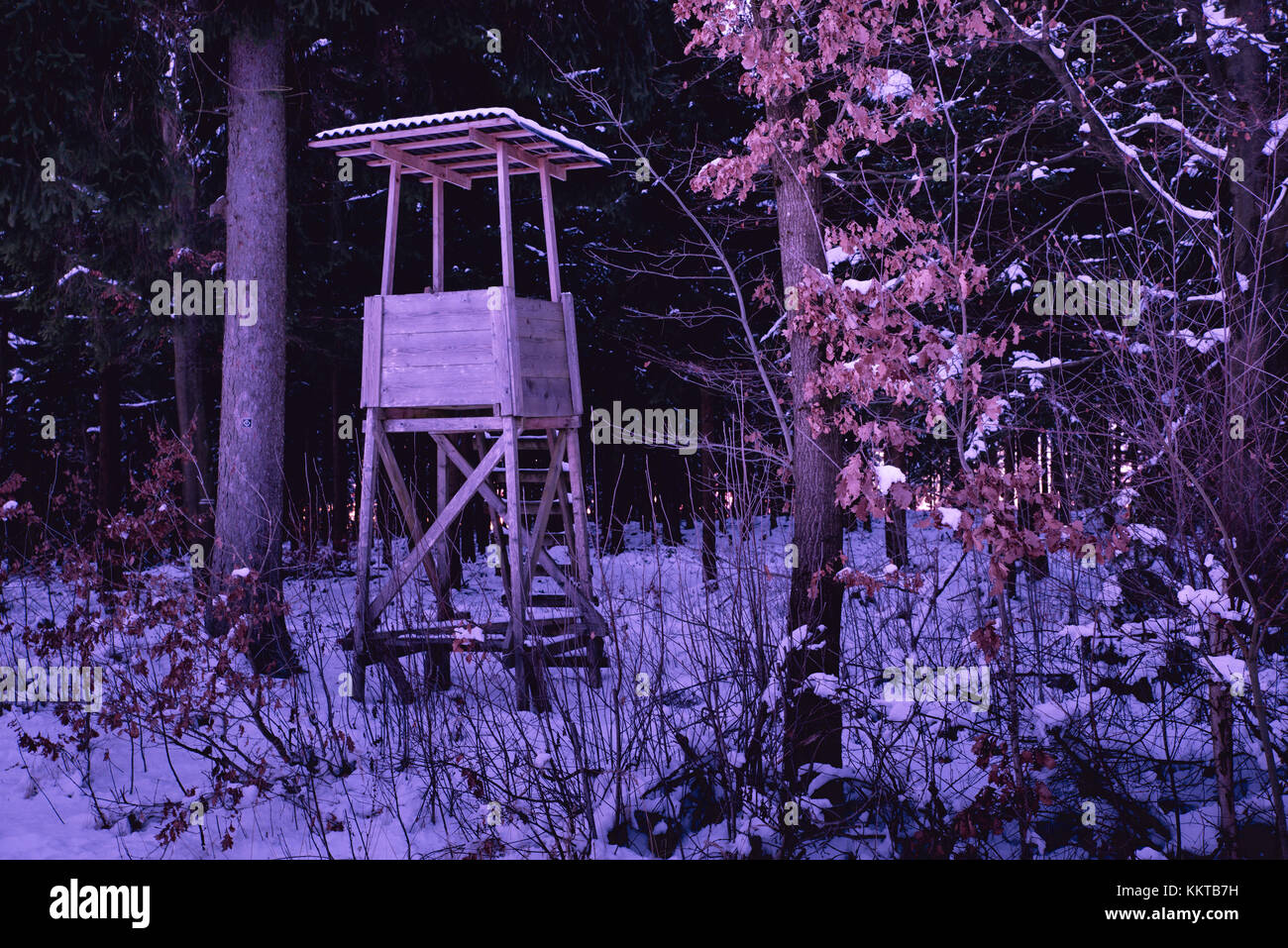 Winter Nature Landscape with Loads of Snow Season Stock Photo - Alamy