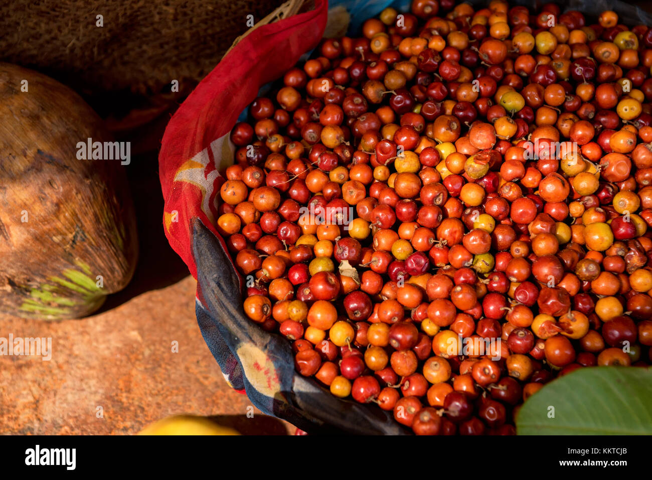 Close-up of jujube fruit Stock Photo - Alamy