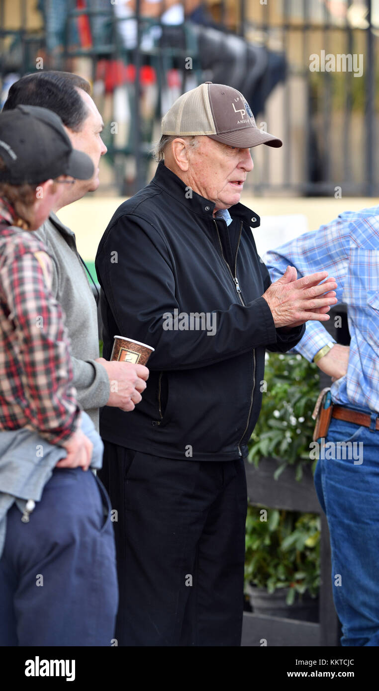 Rooster mcconaughey wayne butch gilliam hi-res stock photography and ...