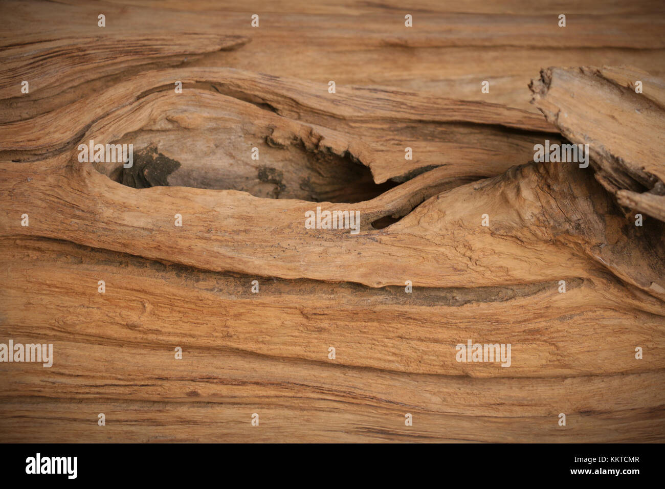 a part of knothole old wood plank in natural Stock Photo - Alamy