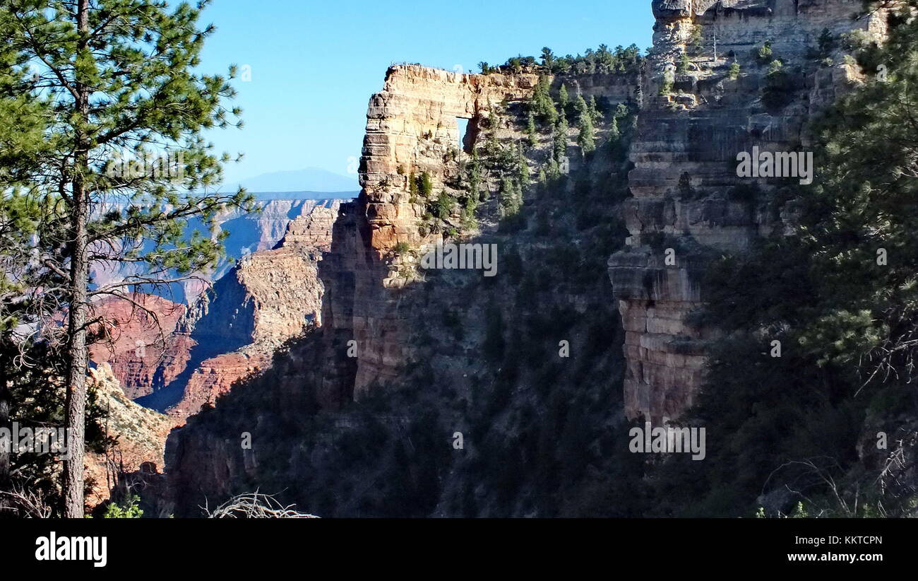 Angels Window lookout point, Cape Royal, Grand Canyon National Park ...
