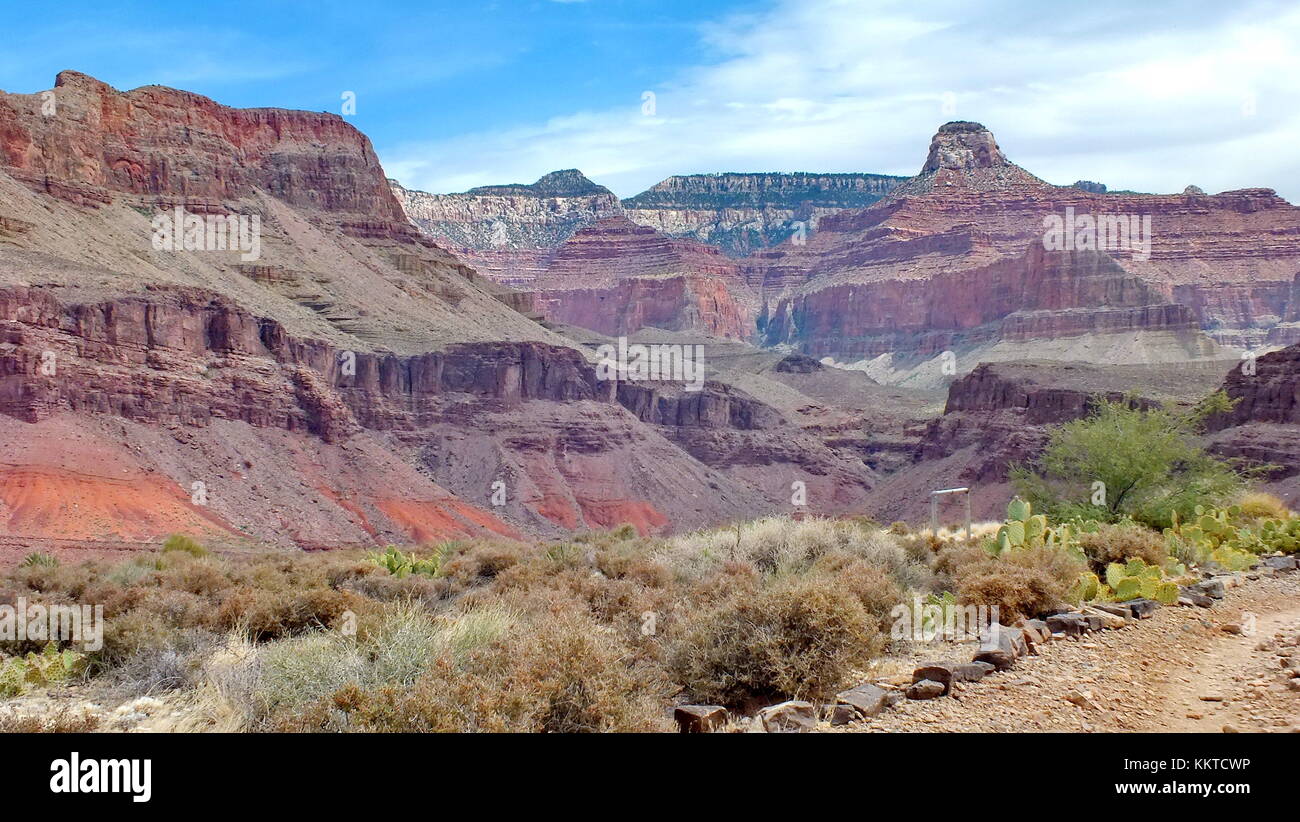 View of the Grand Canyon along the Plateau Point Trail Stock Photo - Alamy