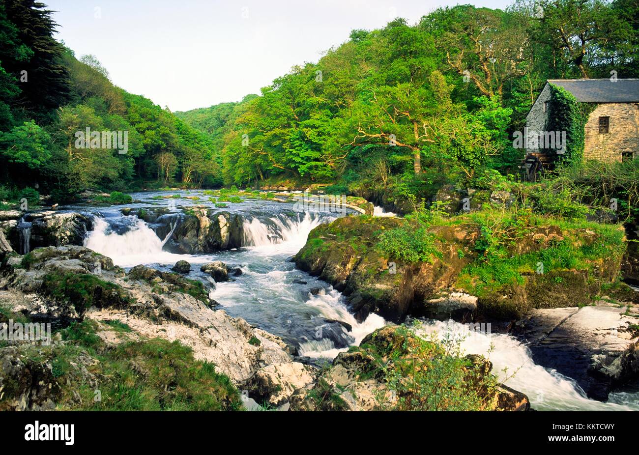 Cenarth falls hi-res stock photography and images - Alamy